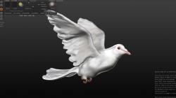 dove 3d model | Page 1 | STLFinder