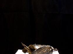 starling 2 max amazon 3D Models | Page 1 | STLFinder