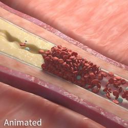 bloodstream animation 3D Models | Page 1 | STLFinder