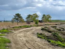 solidworks tree model | Page 1 | STLFinder