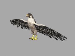 falcon 3d 3d models | Page 1 | STLFinder