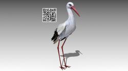 LOW POLY WHITE STORK 3D MODEL FULLY RIGGED & ANIMATED 3D Models | Page ...