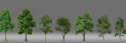 plant leaf 3d model | Page 1 | STLFinder