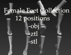 female feet models | Page 1 | STLFinder