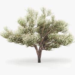 flowering apple tree 3D Models | Page 1 | STLFinder