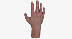 male hand model requirements | Page 1 | STLFinder