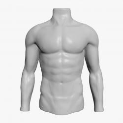 human male torso mannequin 3d models | Page 1 | STLFinder