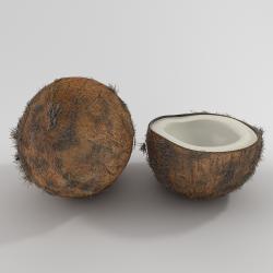 realistic coconut 3d models | Page 1 | STLFinder