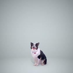 poseable 3d human model | Page 1 | STLFinder