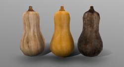 butternut squash 3d models | Page 1 | STLFinder