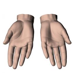 hands flat 3D Models | Page 1 | STLFinder