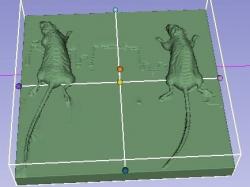 ct files 3D Models | Page 1 | STLFinder