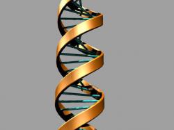 3d printed double helix | Page 1 | STLFinder