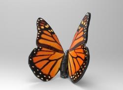 monarch butterfly print 3D Models | Page 1 | STLFinder
