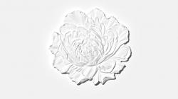 bas relief flower 3D Models | Page 1 | STLFinder