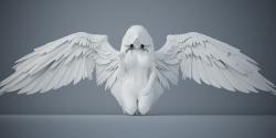 ssk 002 angel 3D Models | Page 1 | STLFinder