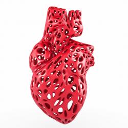wireframe heart 3D Models | Page 1 | STLFinder