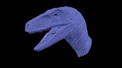 velociraptor head 3d models | Page 1 | STLFinder