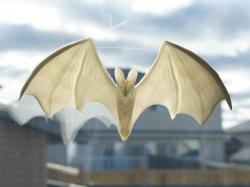 the ghost bat 3d models 【 STLFinder
