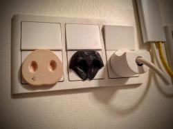 dog plug 3D Models | Page 1 | STLFinder