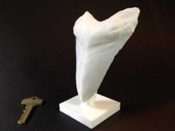 lankybox giant thicc shark 3D Models | Page 1 | STLFinder