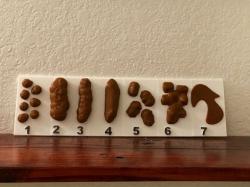 printable bristol stool chart 3D Models | Page 1 | STLFinder