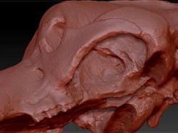 skull caverns 3D Models | Page 1 | STLFinder