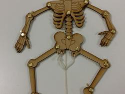 make a moving skeleton 3D Models | Page 1 | STLFinder