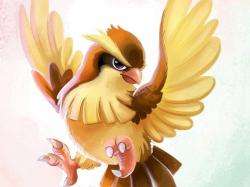 pidgey evolutions 3d models 【 STLFinder