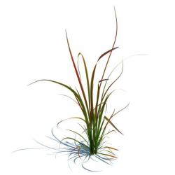 model red grass | Page 1 | STLFinder