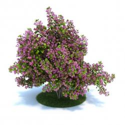 purple flower bush 3D Models | Page 1 | STLFinder