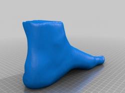 left foot anatomy 3D Models | Page 1 | STLFinder