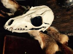 shaman mask osrs 3d models 【 STLFinder