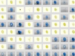 spiral file 3D Models | Page 1 | STLFinder