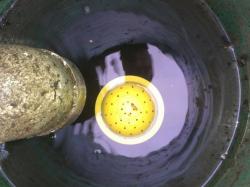 sewer line cap 3D Models | Page 1 | STLFinder