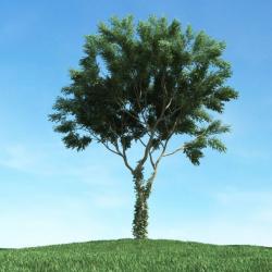 leaf tree 3d models | Page 1 | STLFinder