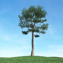 tall skinny objects 3D Models | Page 1 | STLFinder