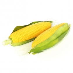 love in the corn husk summary 3D Models | Page 1 | STLFinder
