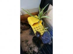 platforma para tortugas stl 3D Models | Page 1 | STLFinder