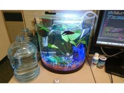 false bottom container 3d models 【 STLFinder