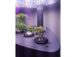 miracle grow 3D Models | Page 1 | STLFinder