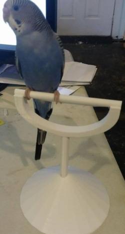 perch for birds 3D Models | Page 1 | STLFinder