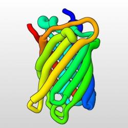 GFP green fluorescent protein molecule 3D Models | Page 1 | STLFinder