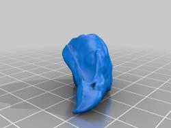 red tailed hawk head 3D Models | Page 1 | STLFinder