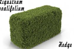 box hedge balls 3D Models | Page 1 | STLFinder