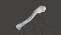collarbone male 3D Models | Page 1 | STLFinder
