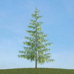 tall thin models | Page 1 | STLFinder