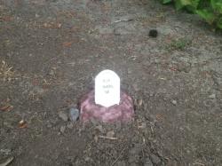 rip birdie 3d models 【 STLFinder