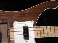 zero mod thumb rest for rickenbacker 3d models 【 STLFinder