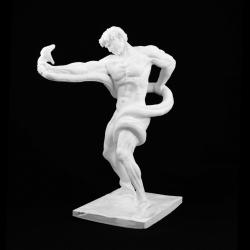 athlete wrestling with a python 3D Models | Page 1 | STLFinder